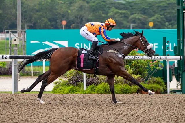 Te Akau Singapore Sunday Preview | News - Te Akau Racing