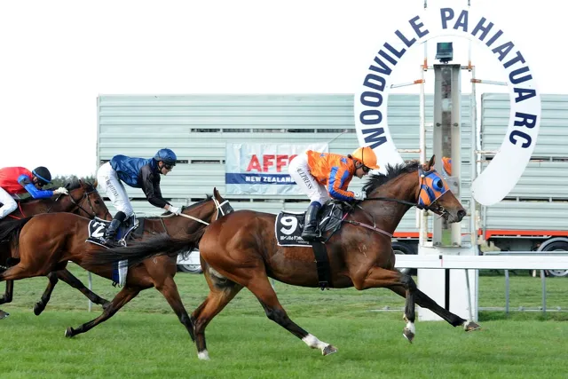Te Akau Woodville Preview | News - Te Akau Racing