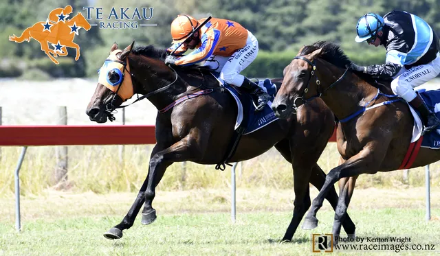 Te Akau Te Teko Sunday Preview | News - Te Akau Racing