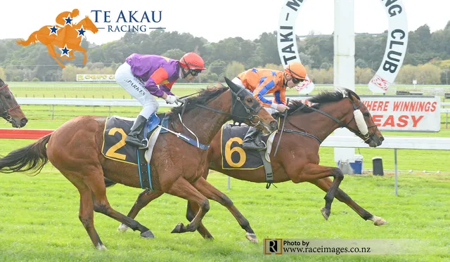Te Akau Ellerslie Queen's Birthday Monday Preview | News - Te Akau Racing